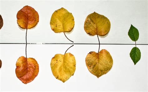 Otavio Santana On Linkedin The Lifecycle Objects On Cdi Video Dzone