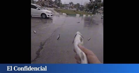 The Surprising Images And Why This Phenomenon Occurs Archyde