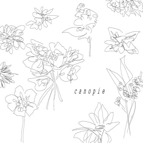 canopie - canopie2020 : canopie : Free Download, Borrow, and Streaming ...