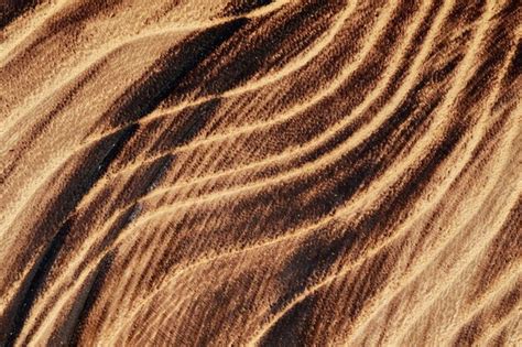 Premium Photo Natural Wood Trunk Segment Surface Texture Background Premium Photo Natural Wood Trunk Segment Surface Texture Background