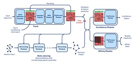 Boltz 2 The New Benchmark For Ai Driven Binding Affinity Prediction In Drug Discovery Medvolt Ai