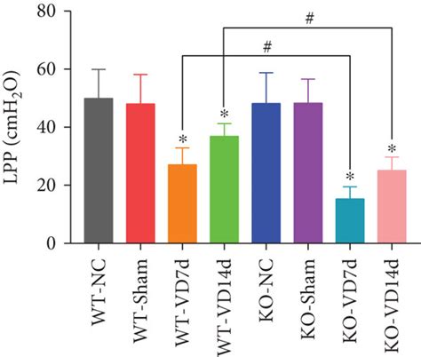 The Body Weights And Lpp Values Of Mice A Body Weights Of Mice In