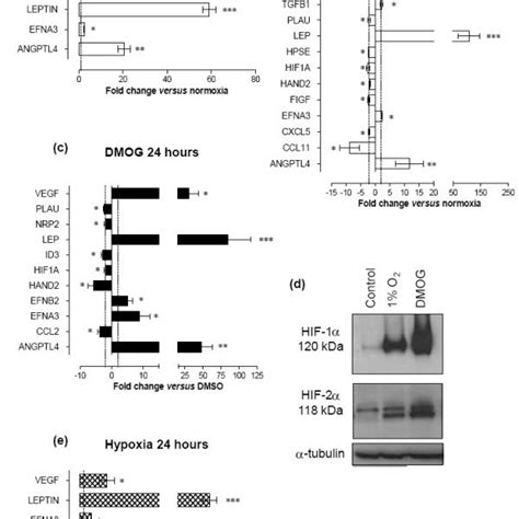 Angiogenesis Rt² Profiler™ Pcr Array Data And Expression Analysis Of