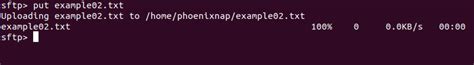 How To Use SFTP Commands And Options 6 Use Cases