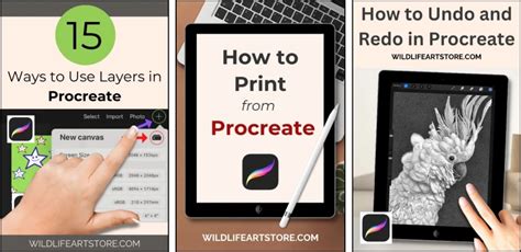 12 Procreate Tips For Beginners The Basics