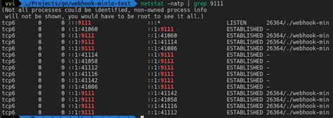 Minio Doesnt Send Notifications 8403 · Issue 8435 · Miniominio · Github
