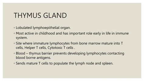 Histology Of Lymph Nodelymph Node Histology Pptx