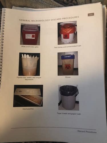 Micro Lab Midterm Flashcards Quizlet