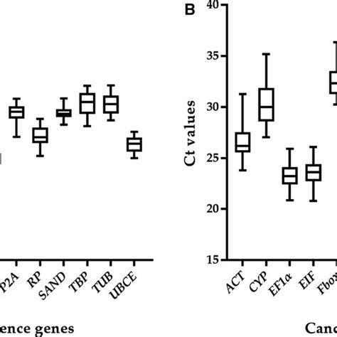 Rt‐qpcr Ct Values Of The Candidate Reference Genes A Candidate