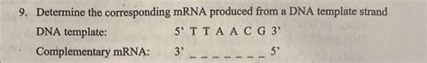 Solved Determine The Corresponding MRNA Produced From A Chegg