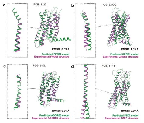 Alphafold3预测结构准确性不足!上海药物所徐华强团队研究证实 知乎 Alphafold3预测结构准确性不足!上海药物所徐华强团队研究证实 知乎