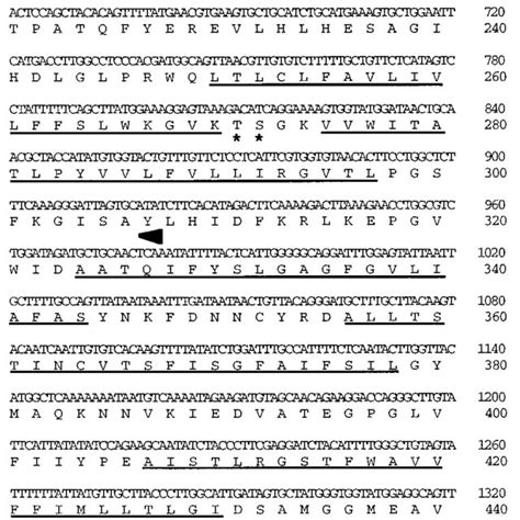 Nucleotide And Deduced Amino Acid Sequence Single Letter Code Of The Download Scientific