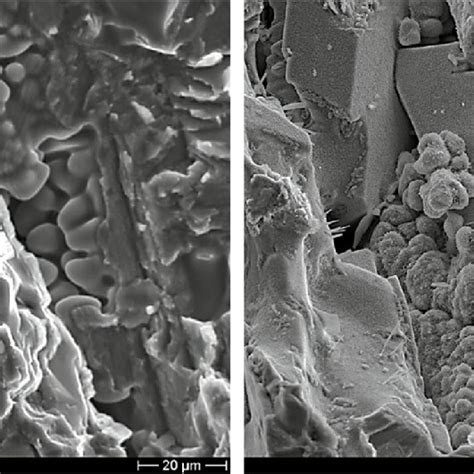 Sem Micrographs Showing The Presence Of Shrinkage Cavities On Fracture Download Scientific