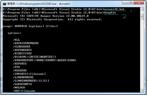 Dumpbin Programmer Sought