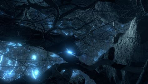 Default Mode Network