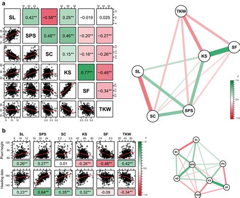 correlations among the investigated spike and kernel characteristics a