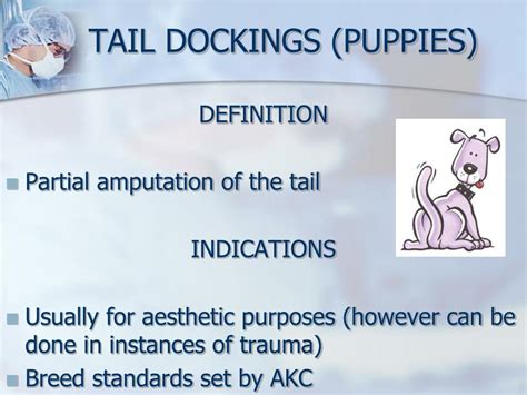 PPT - SURGICAL PROCEDURES PowerPoint Presentation, free download - ID ...