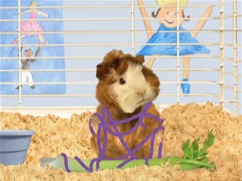 Wonder Pets Linny