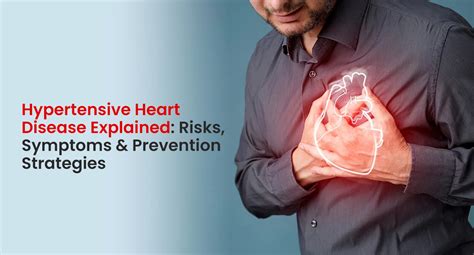 Hypertensive Heart Disease Explained Risks Symptoms And Prevention