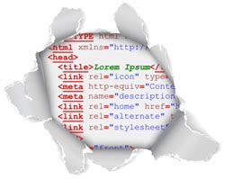 Web Design Module