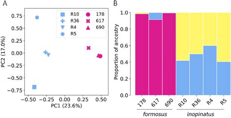 Principal Component Analysis PCA And STRUCTURE Analysis For Detecting Download Scientific