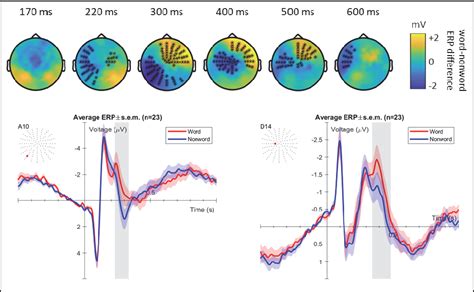 Figure 1 From Phonological Awareness Of Bilinguals In Visual Word Recognition Semantic Scholar