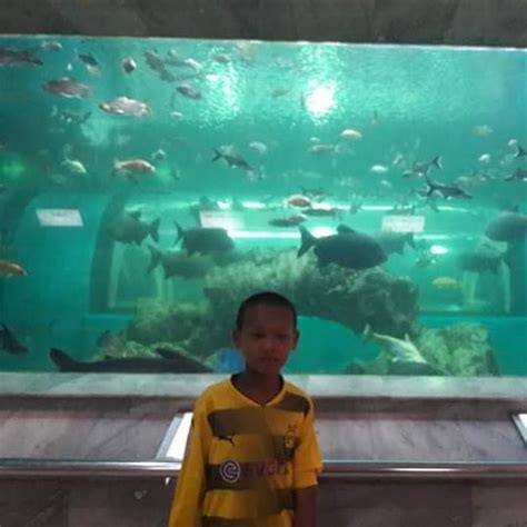 Pitak พิทักษ์ Youtube