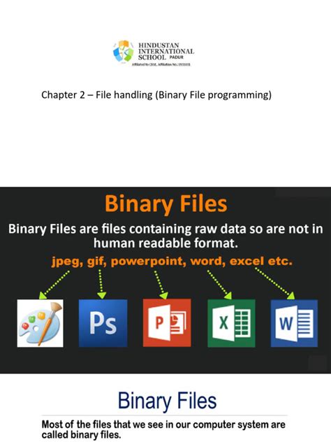 Chapter 2 File Handling Binary File Pdf Text File Computer File