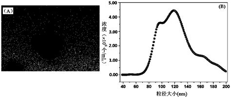 Sers Probe And Substrate Labeled By Multiple Antibodies As Well As Preparation Method And