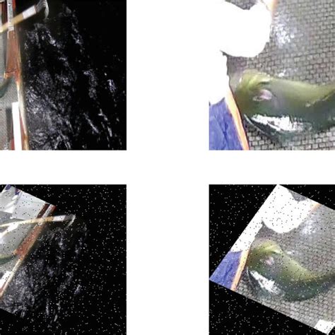 Summary Of Vgg 16 Model Performance Download Scientific Diagram