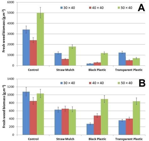 The Interaction Effect Between Mulching Materials And Row Spacing On