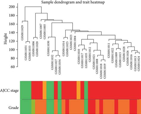 Clustering Dendrogram And Determination Of Soft Thresholding Power In