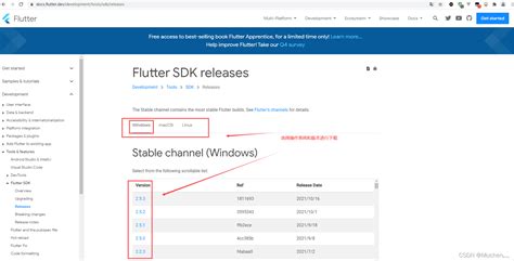 Flutter环境安装超详细flutter安装教程 Csdn博客