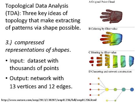 Three Key Ideas Of Topology That Make Extracting