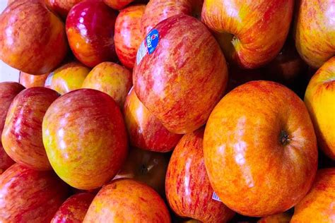 80 Types Of Apples A To Z Photos Butter N Thyme
