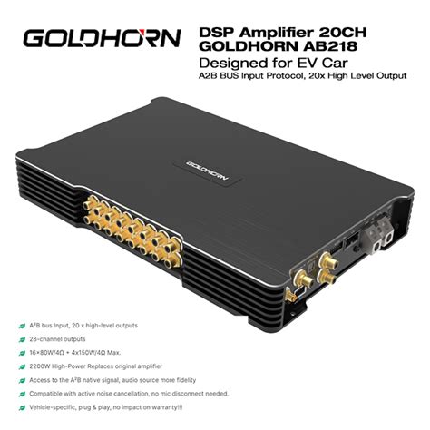 Dsp Processor Amplifier Goldhorn Ab218 Maistro Audio