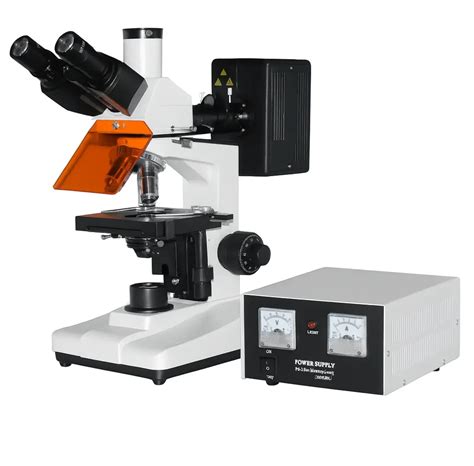 Bacteria Enumeration Definition Methods And Example Conduct Science