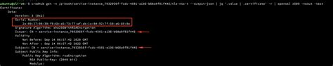 How To Map Tls Nsx T Certificate In TKGI To The Certificate Registered With NSX T DebuggingMode