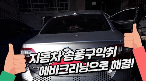 자동차 내시경 에바크리닝 에어컨히터 냄새제거 송풍구악취 곰팡이제거 Youtube