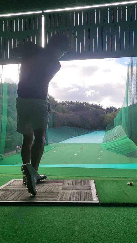 드라이버 스윙 봐주세요 이놈의 치킨윙 골프포럼 딜바다닷컴