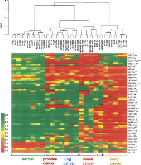 High Throughput Dna Methylation Profiling Using Universal Bead Arrays Pmc