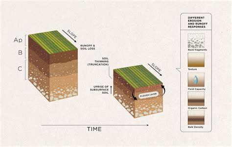 Modelling Concept Selective Soil Erosion Processes Alter Topsoil Download Scientific Diagram