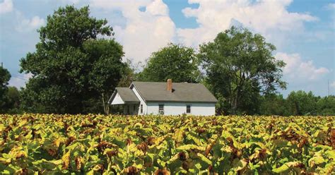 Homesteading In Idaho A Practical Guide To Self Sufficiency In The Gem