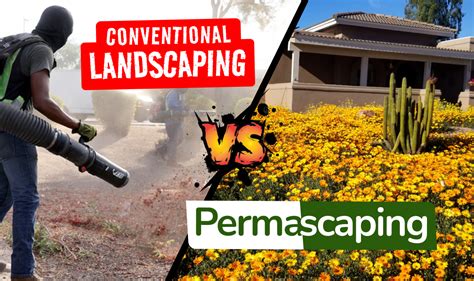 Landscaping Permaculture Vs Conventional
