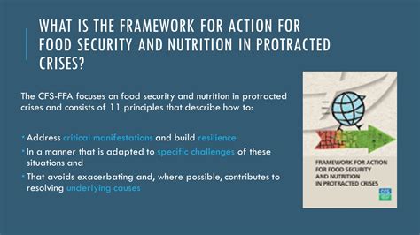 Cfs Committee On World Food Security