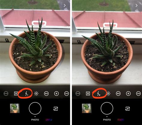 How To Use VSCO App To Shoot Edit Beautiful IPhone Photos