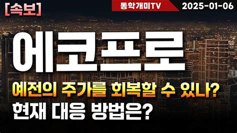 에코프로 예전의 주가를 회복할 수 있나 현재 대응 방법은 Youtube