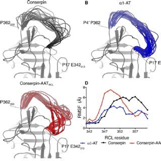 The Dynamics Of The RCL Is Important For Inhibition Snapshots Of Download Scientific Diagram