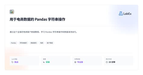 用于电商数据的 Pandas 字符串操作 Labex