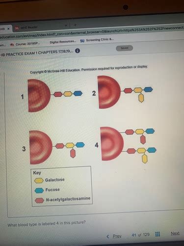 Bio Unit 1 Test Flashcards Quizlet